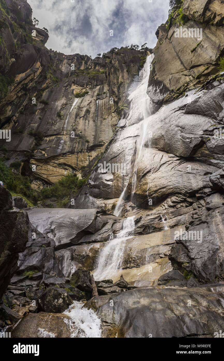 Kading Forest High Resolution Stock Photography and Images - Alamy