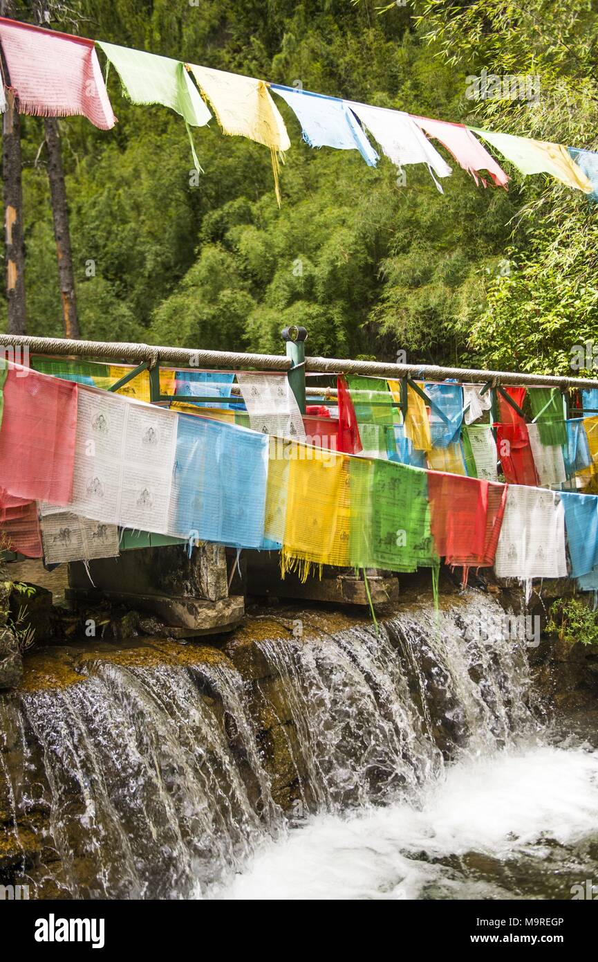 Kading Forest | usage worldwide Stock Photo - Alamy