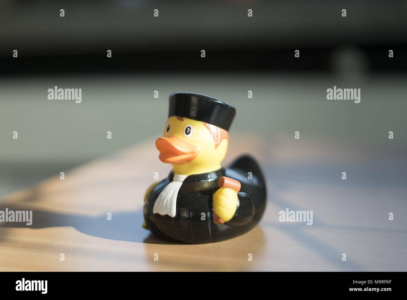Judge Duck on a Desk, 15.3.2018 Germany | usage worldwide Stock Photo ...