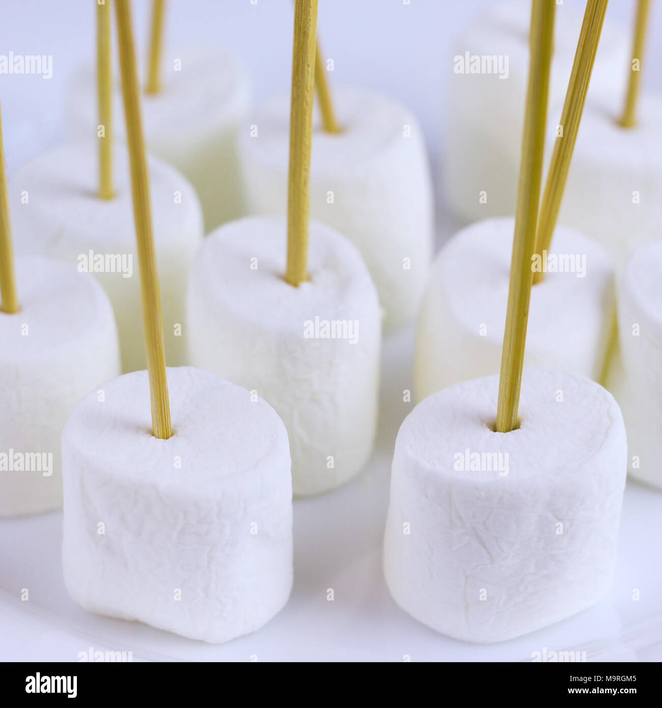marshmallows on a sticks, laying on a white plate. prepared for fondue ...
