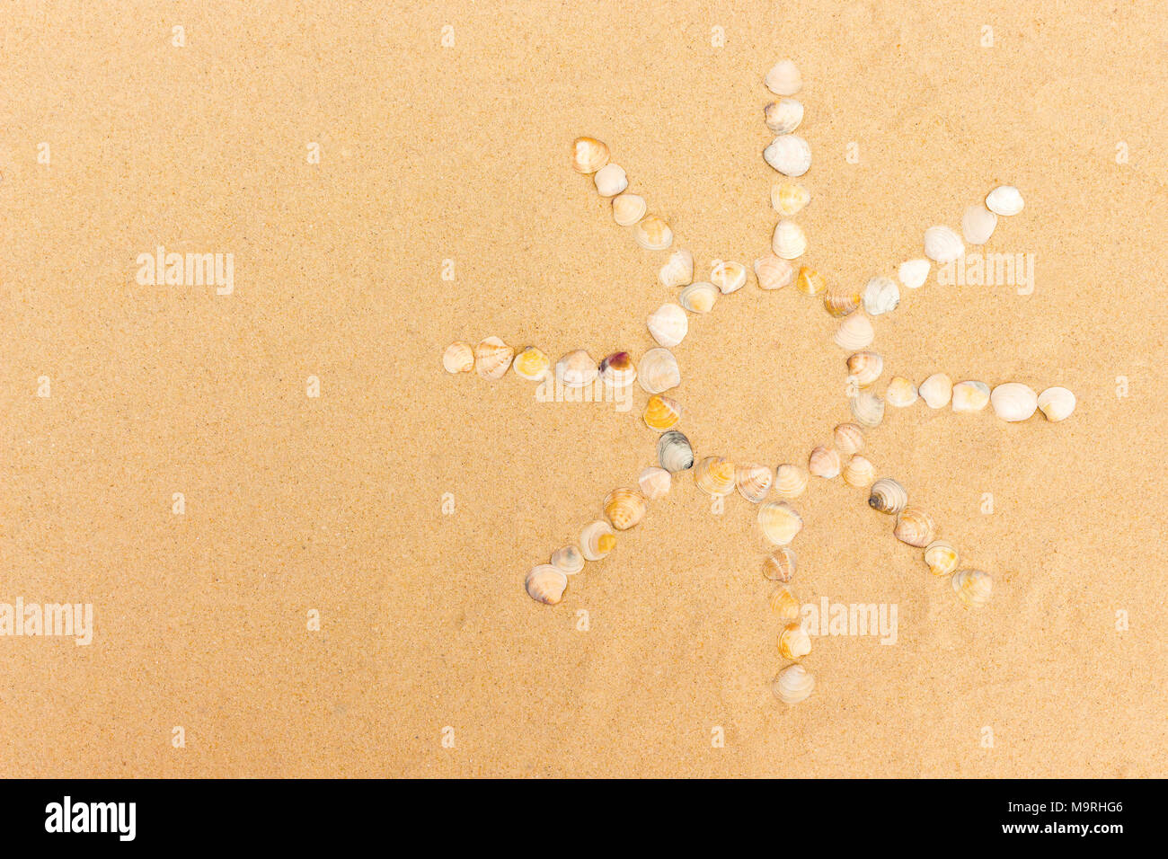 abstract sun image made of seashells on a sand Stock Photo - Alamy