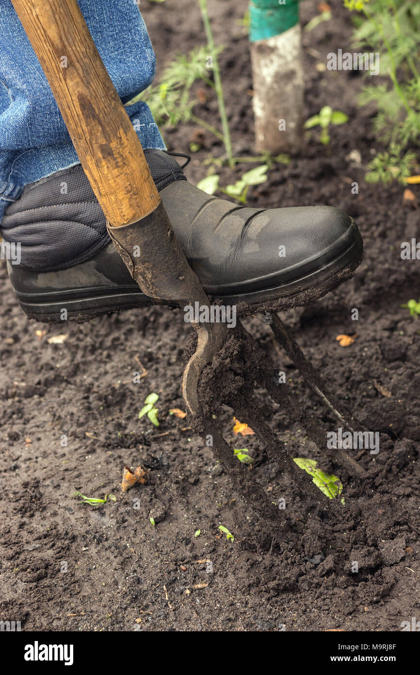 Soil Fragment High Resolution Stock Photography and Images - Alamy