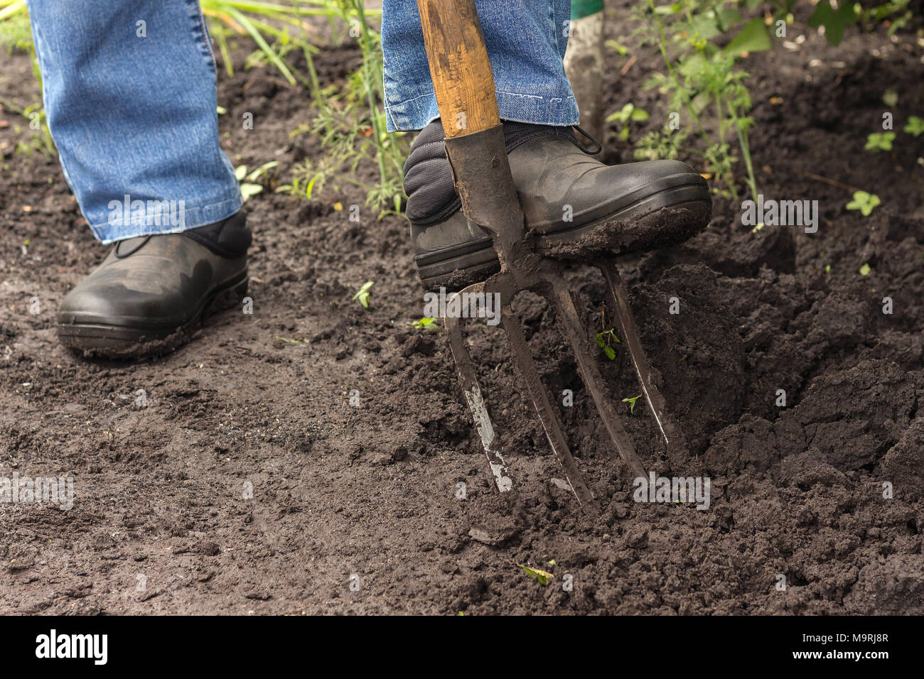 Soil fragment hi-res stock photography and images - Alamy