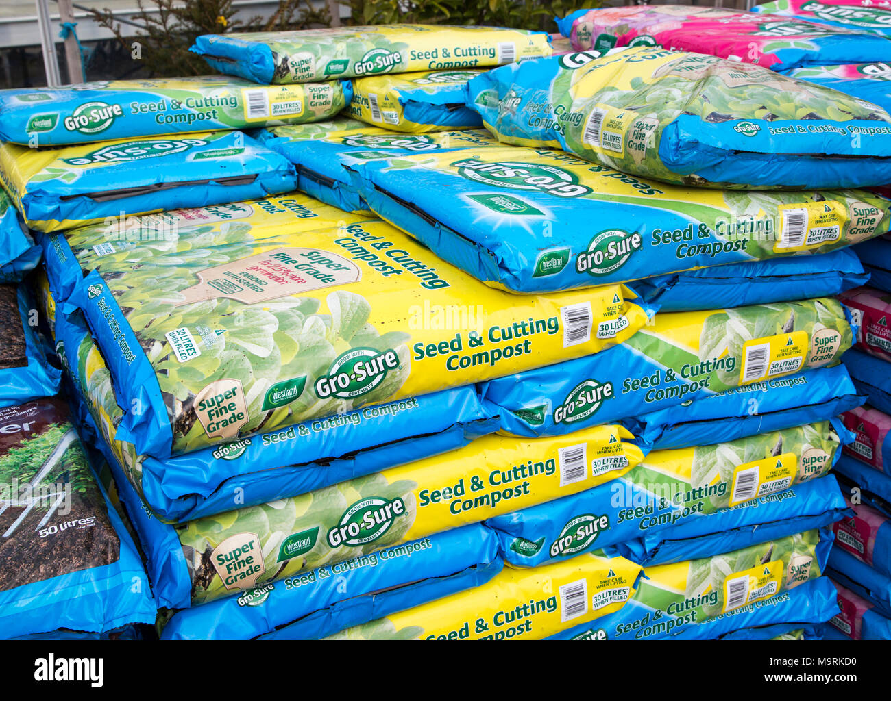 Bags of seed and cutting compost on sale Ladybird Nurseries garden ...