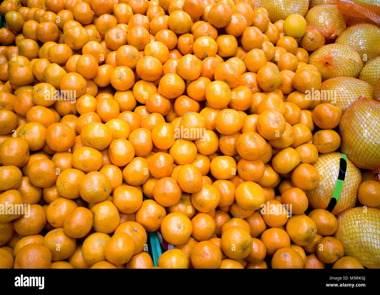 Grapefruit farm hi-res stock photography and images - Alamy