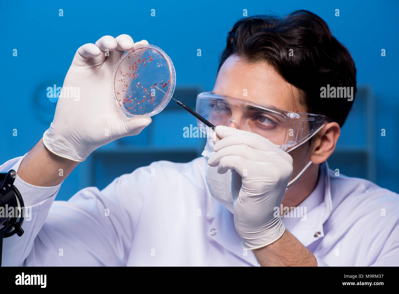Chemistry assistant working in the chemical lab Stock Photo - Alamy