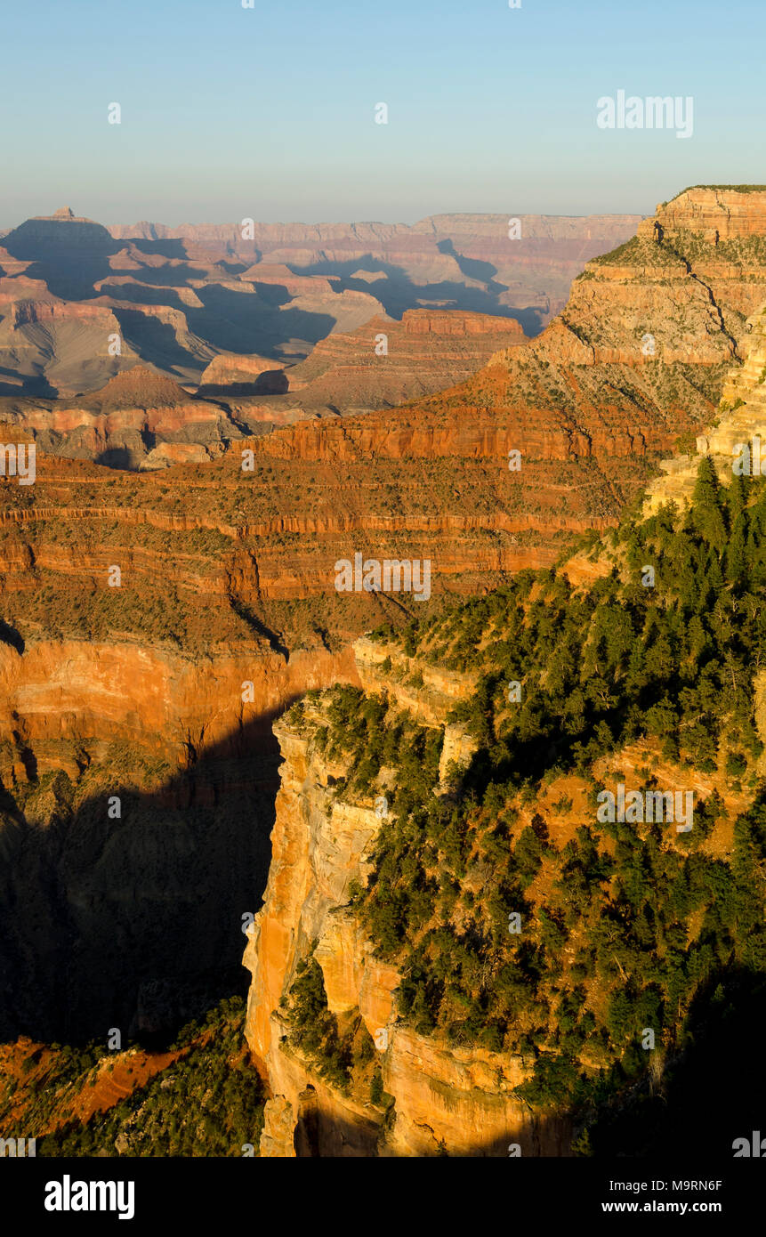 landscape on the grand canyon in the united states of america Stock ...