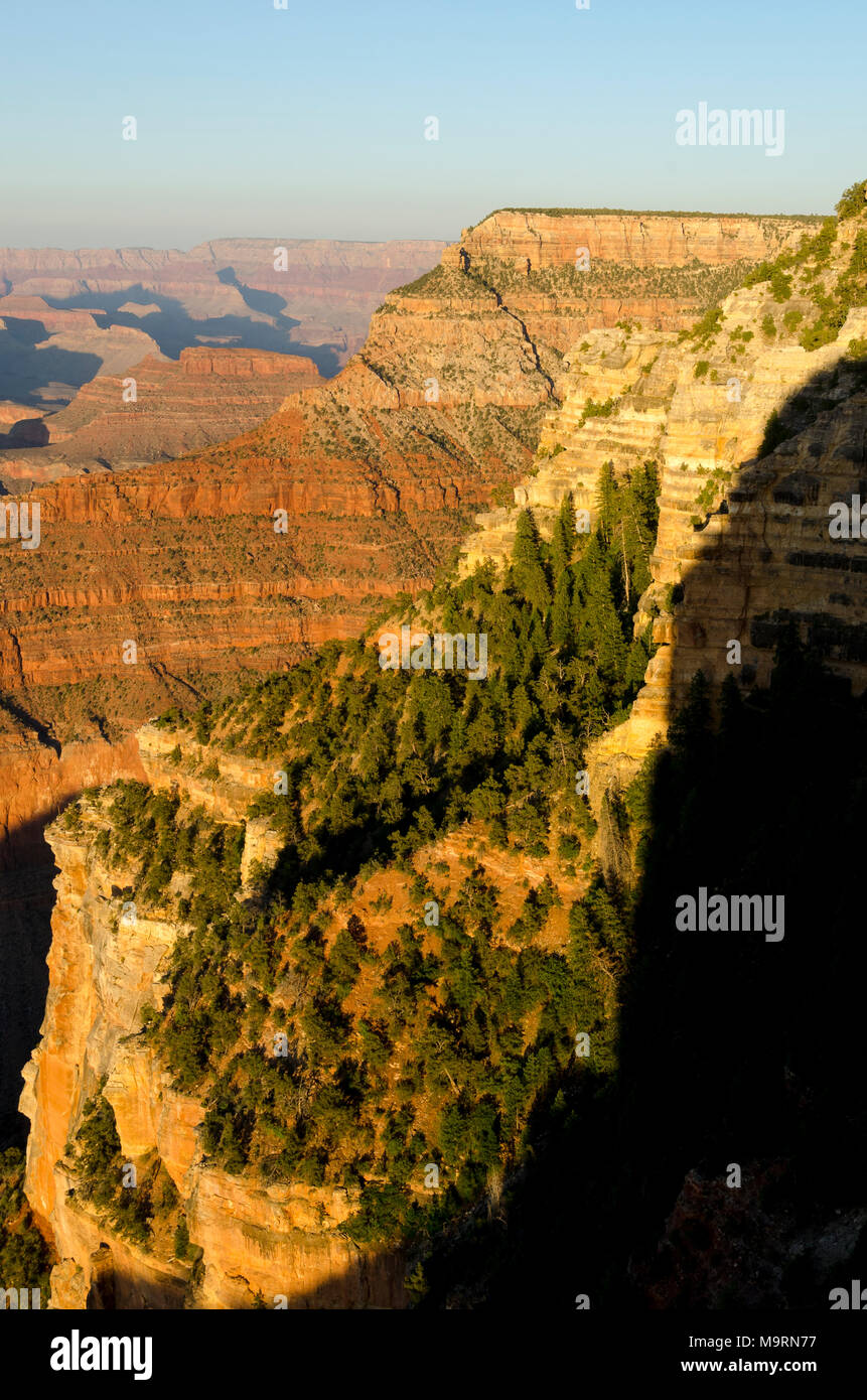 landscape on the grand canyon in the united states of america Stock ...
