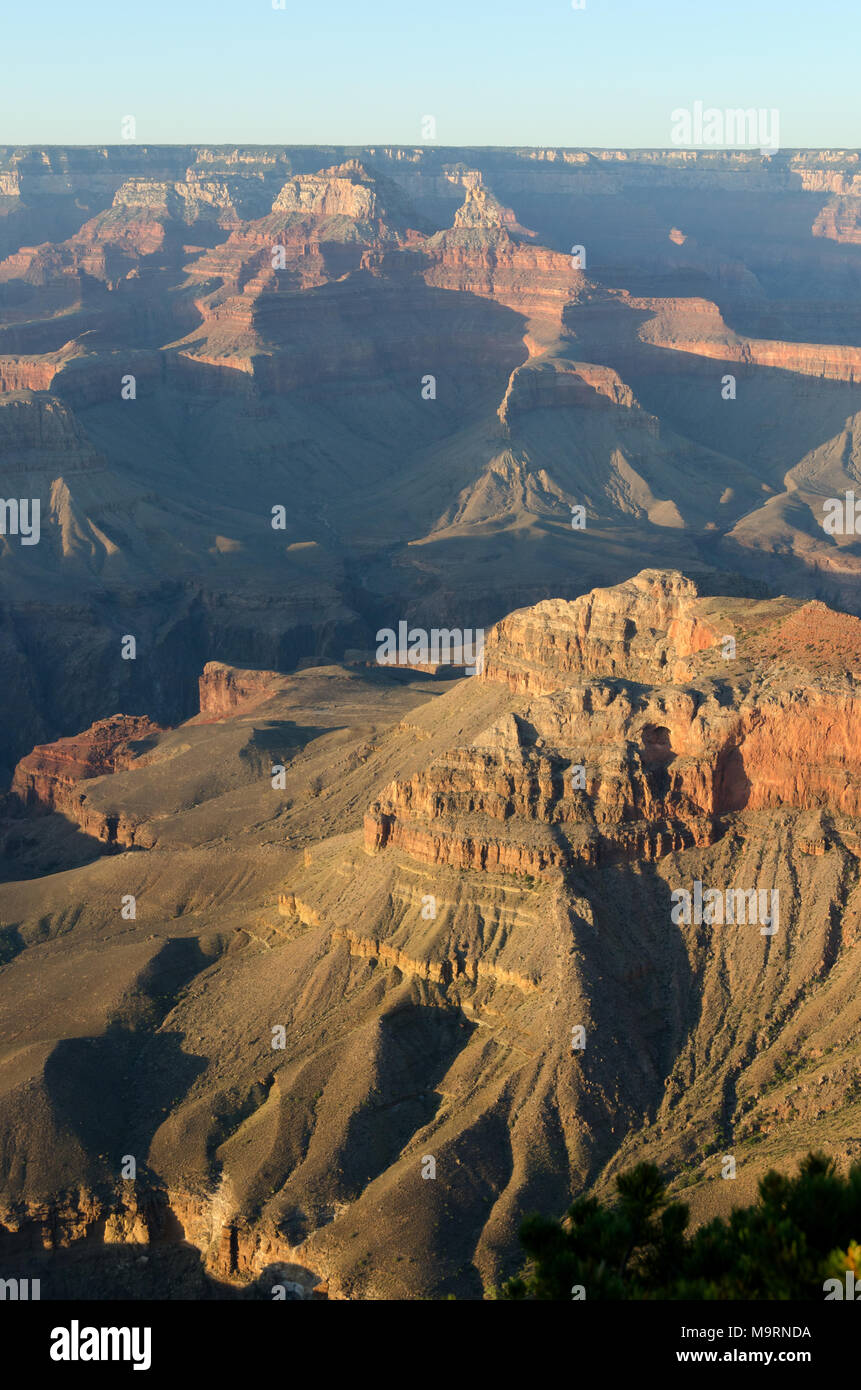landscape on the grand canyon in the united states of america Stock ...