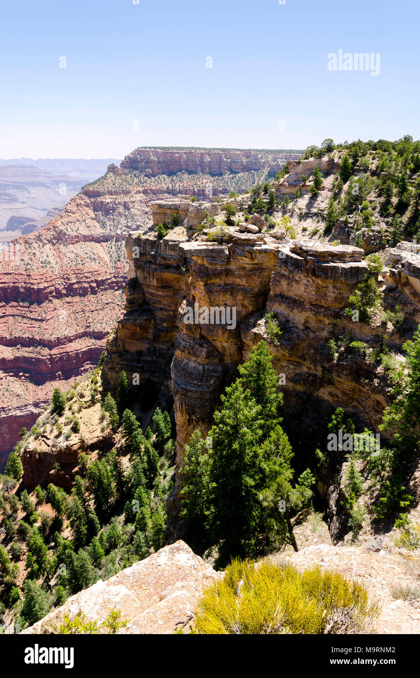 landscape on the grand canyon in the united states of america Stock ...
