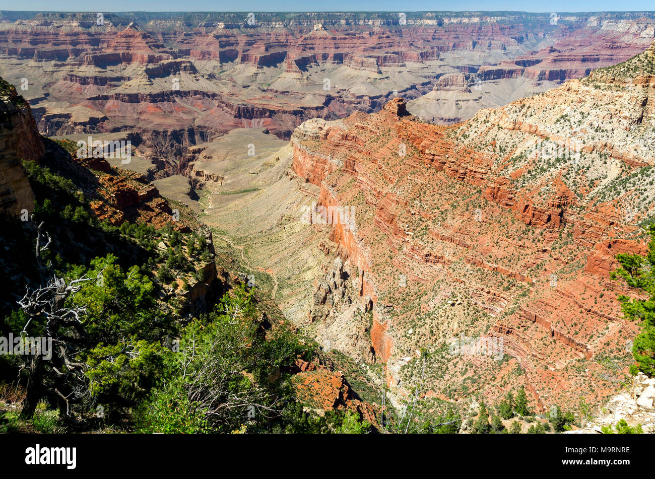 landscape on the grand canyon in the united states of america Stock ...