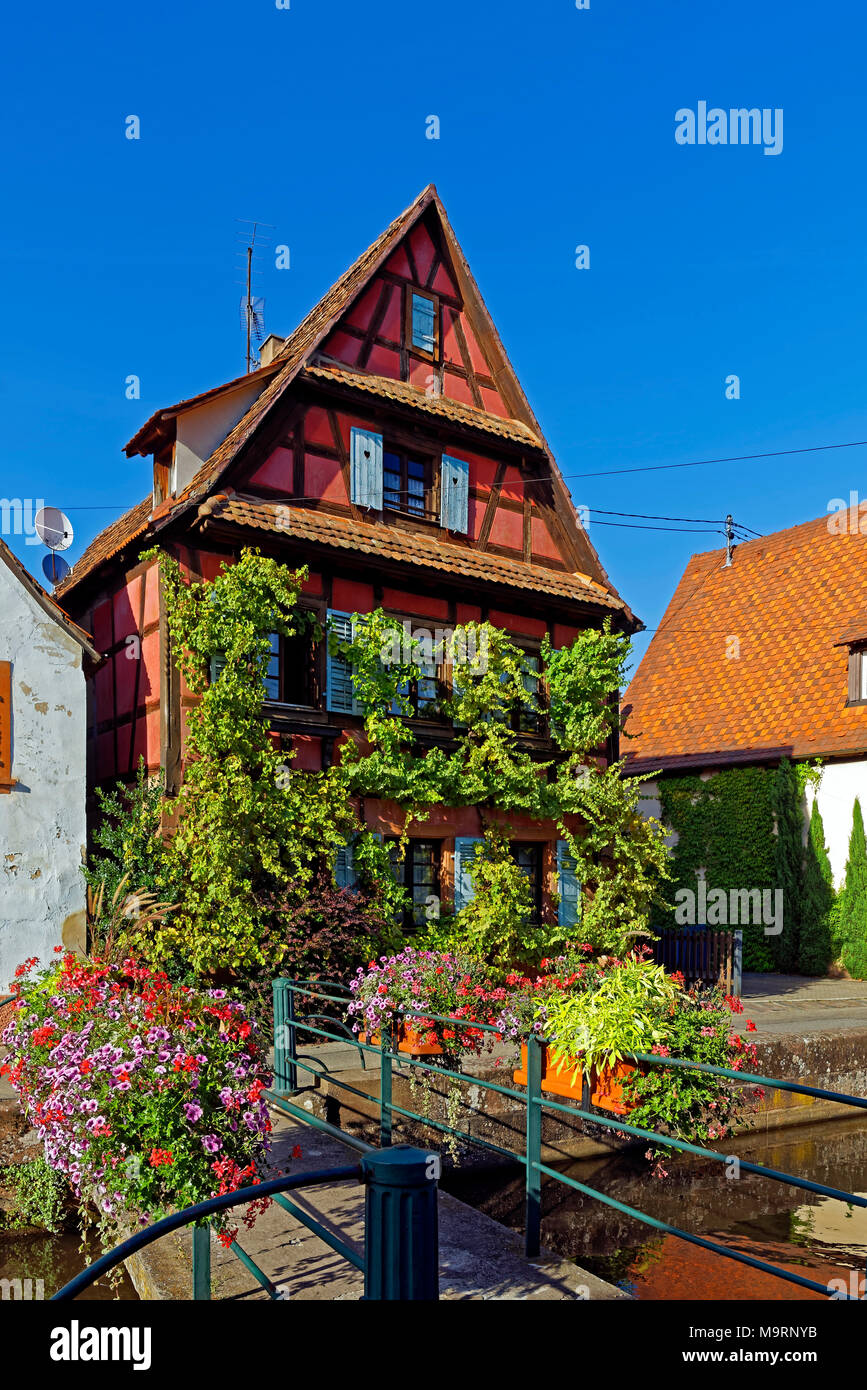 Europe, France, the Rhine, Bas (Alsace), white castle, Wissembourg ...