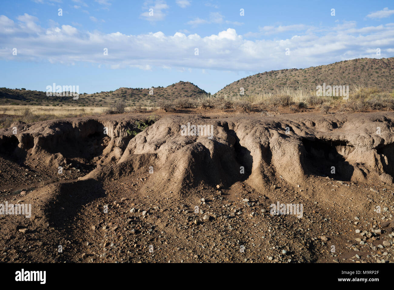 Soil Erosion High Resolution Stock Photography and Images - Alamy