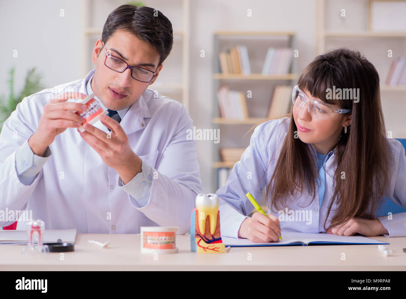 Dentist explaining student tooth structure Stock Photo - Alamy
