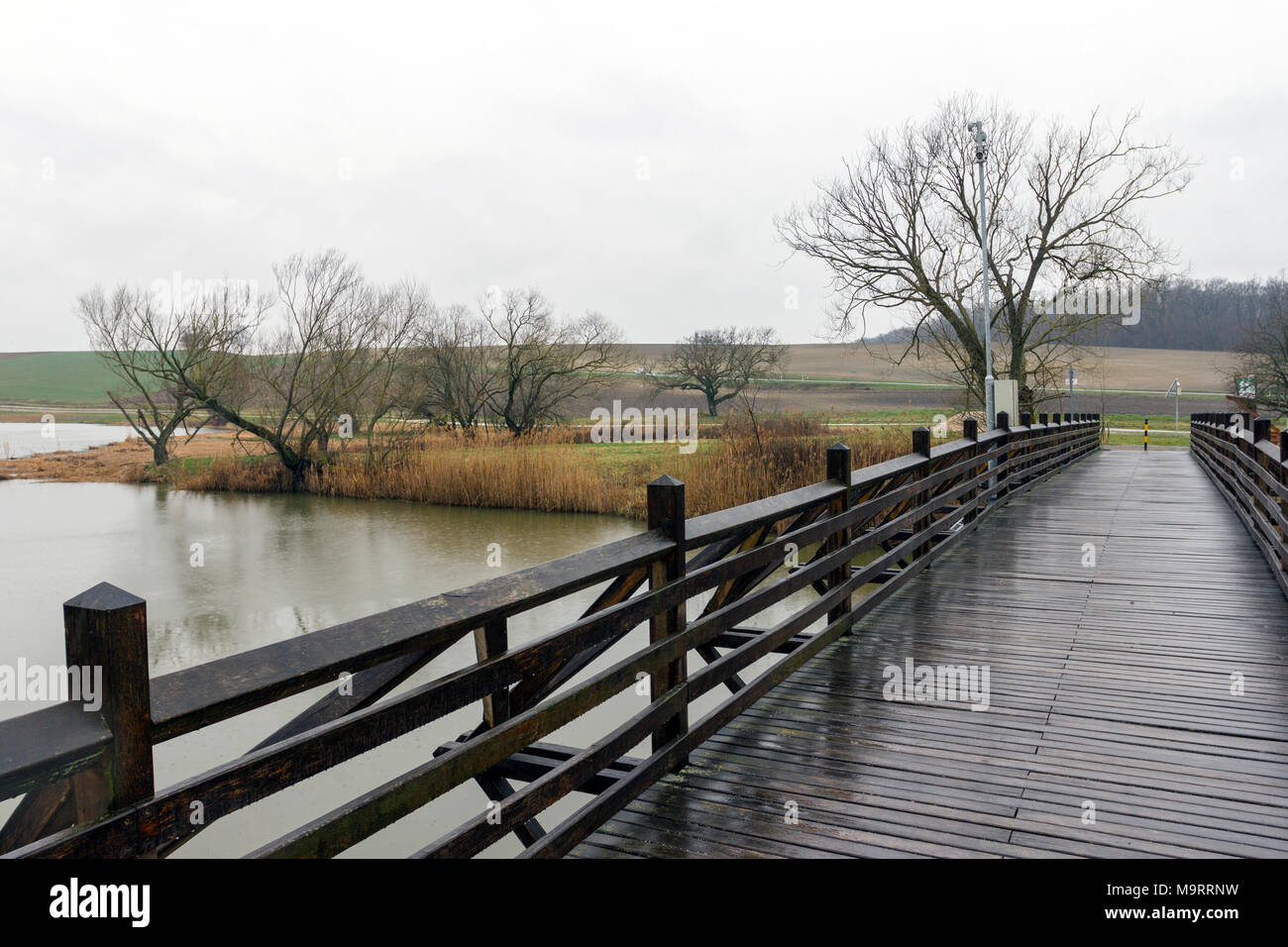 Lake Deseda in Somogy county, Hungary Stock Photo - Alamy