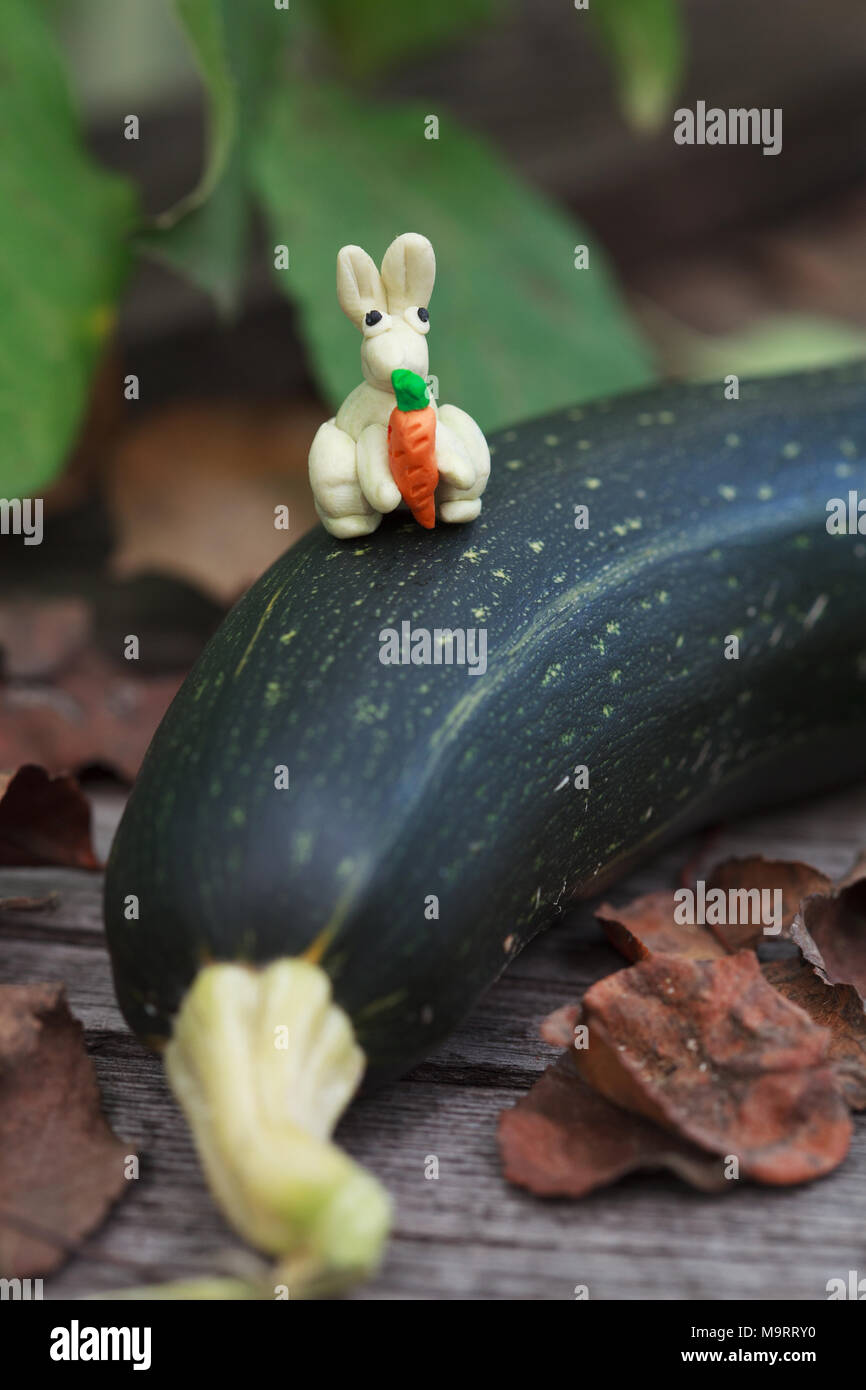 Happy green cartoon zucchini vegetable hi-res stock photography and ...