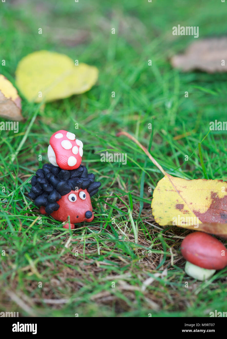Hedgehog fly hi-res stock photography and images - Alamy