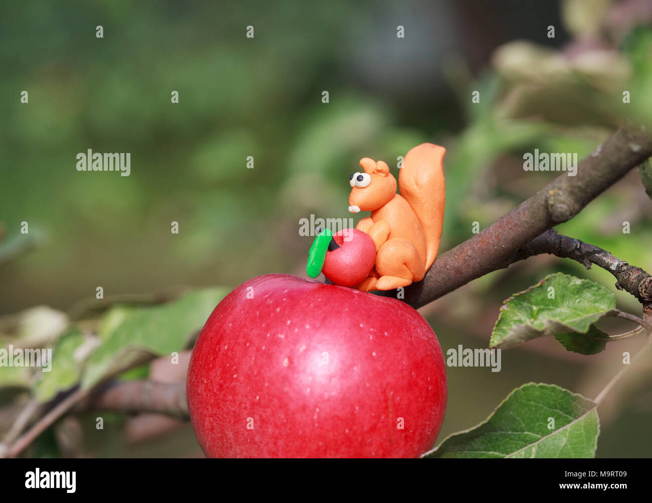 Plasticine world - small homemade squirrel holds in paws red apple and ...