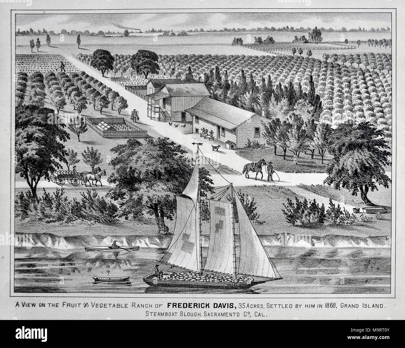 Print paper farm hi-res stock photography and images - Alamy