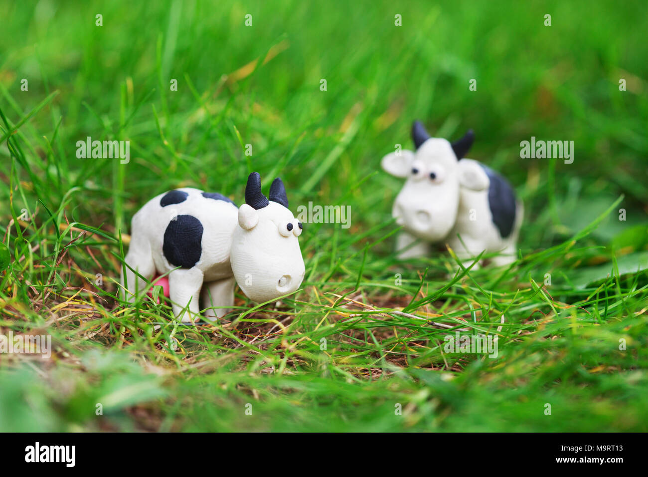 Plasticine world - two little homemade black and white cows grazing on ...