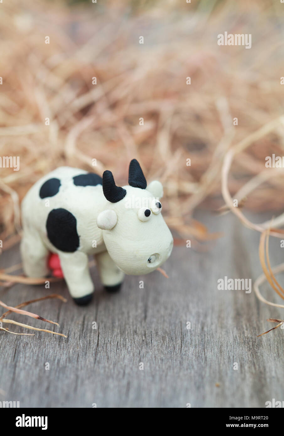 Plasticine world - little homemade black-and-white cow stands on a farm ...