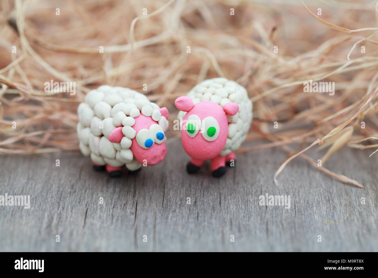 Plasticine world - little homemade white sheep with blue and green eyes ...