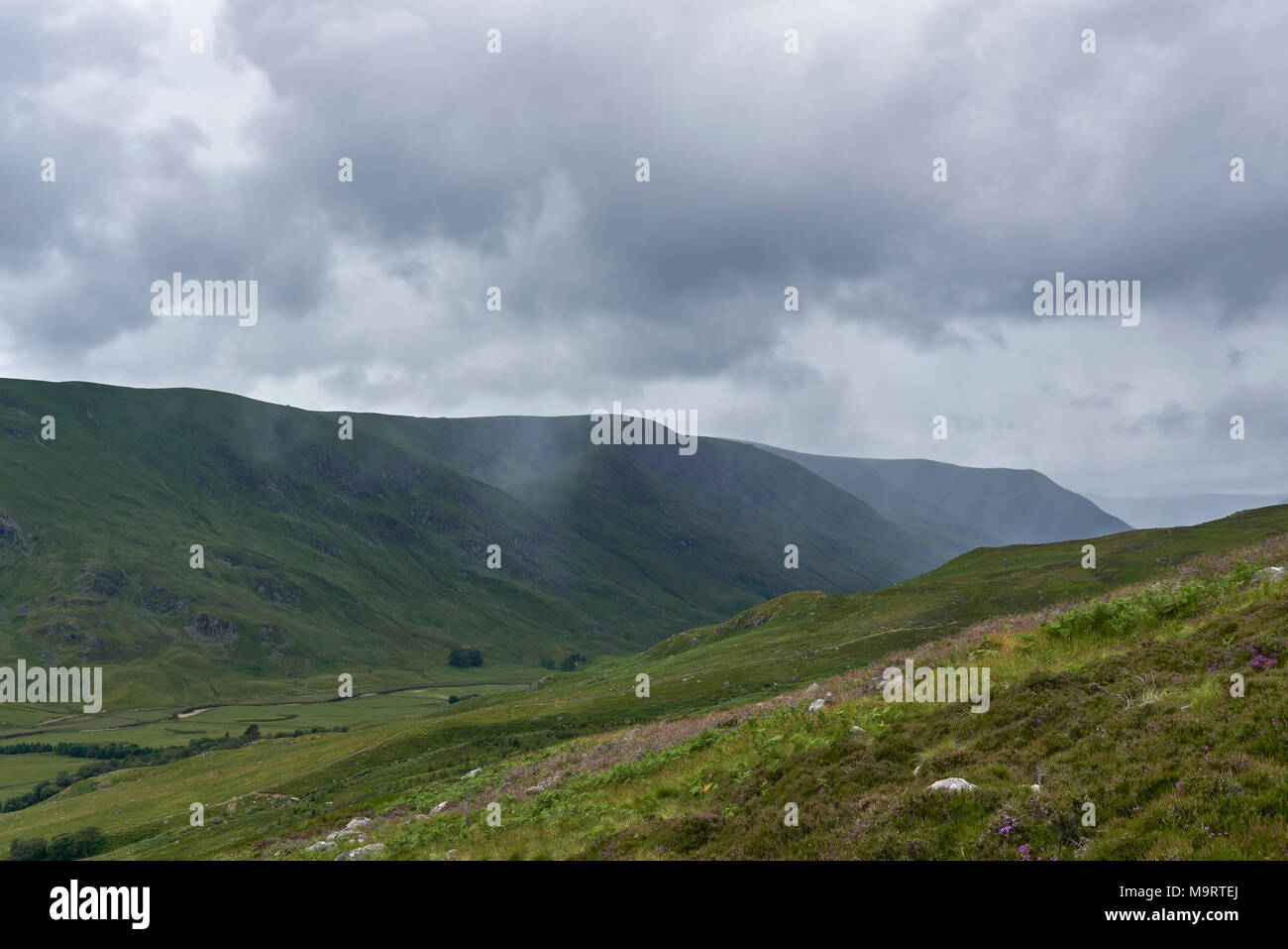 Looking up glen clova hi-res stock photography and images - Alamy