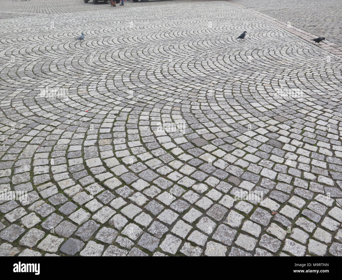 Cobble Stone pattern in town square in Munster, Germany Stock Photo - Alamy