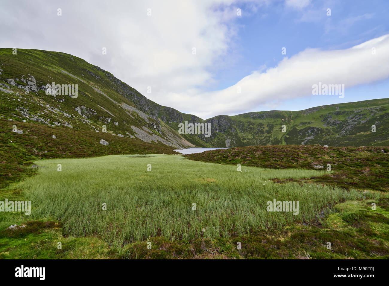 Loch brandy hi-res stock photography and images - Alamy