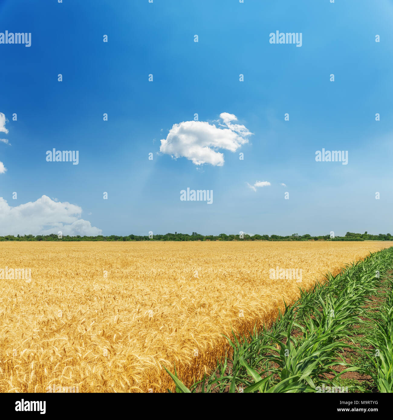 Colors and agriculture hi-res stock photography and images - Alamy
