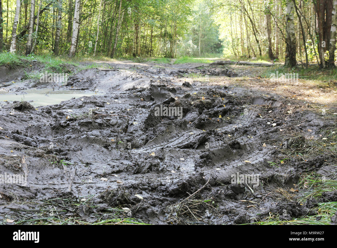 Impassable forest road of mud and clay, offroad Stock Photo - Alamy