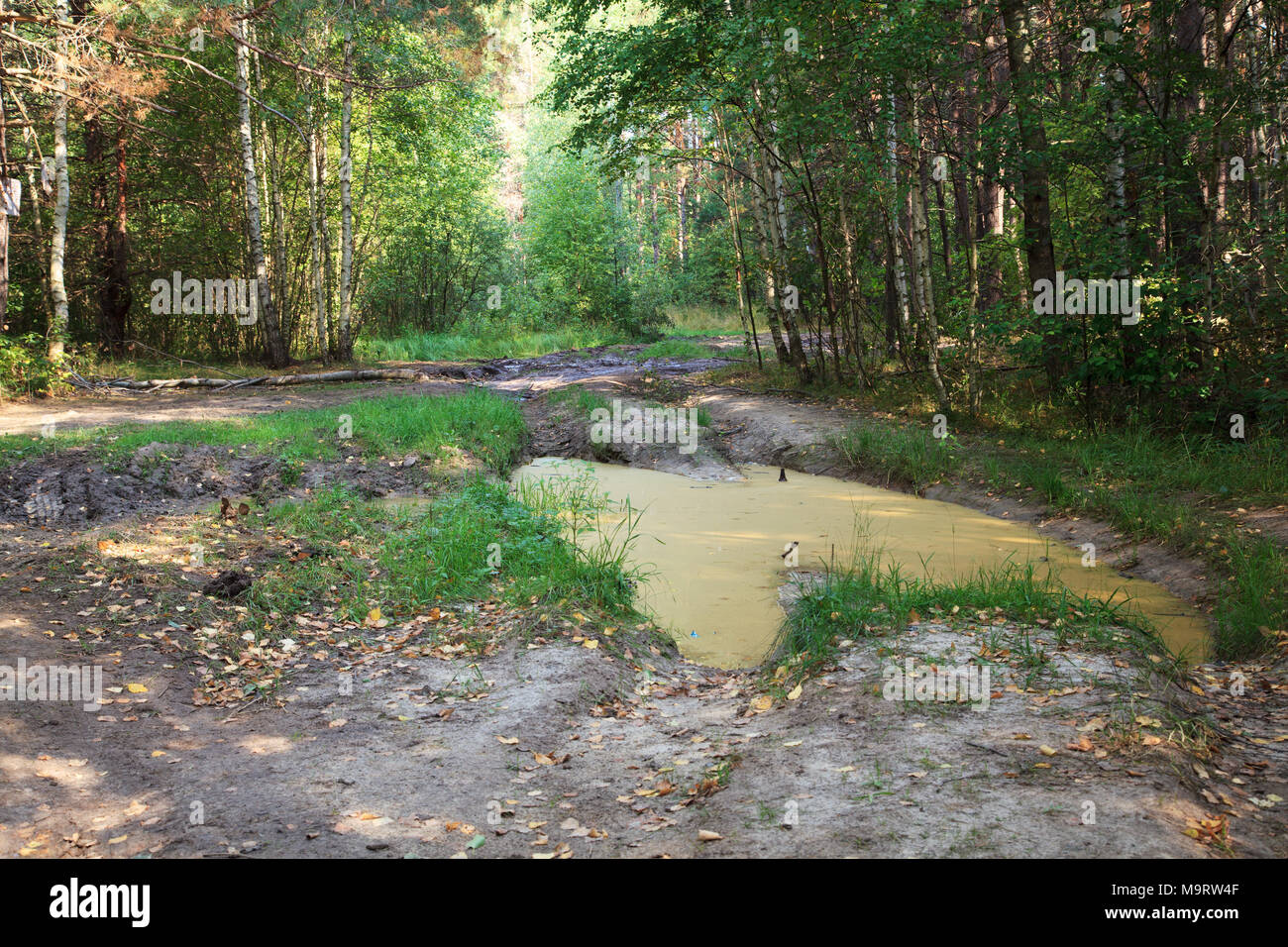 Impassable forest road of mud and clay, offroad Stock Photo - Alamy