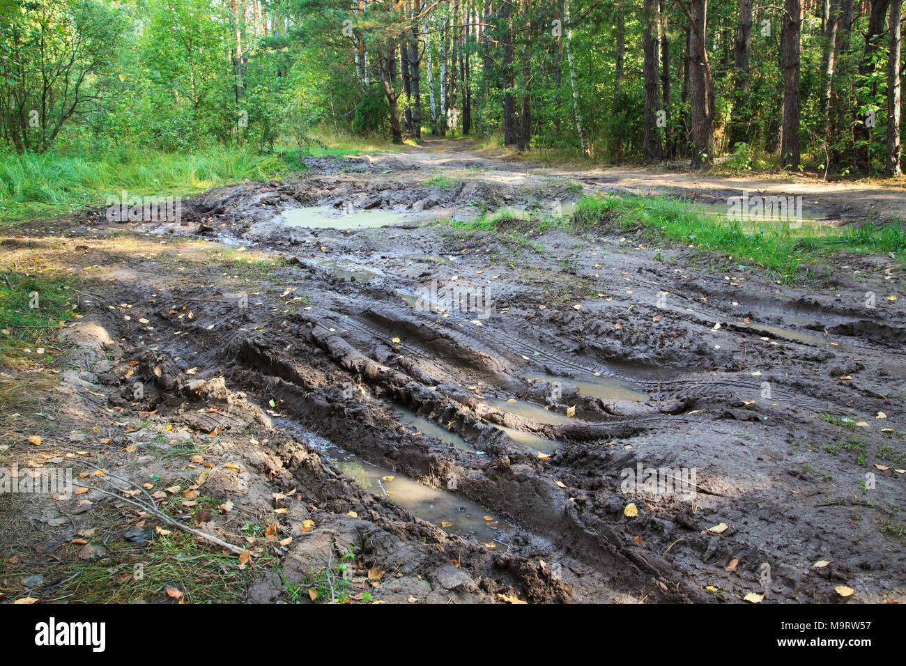 Impassable forest road of mud and clay, offroad Stock Photo - Alamy