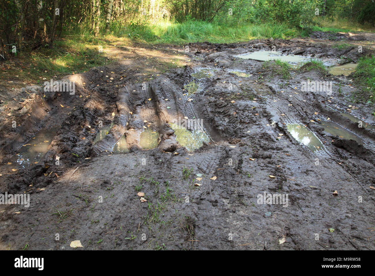 Impassable forest road of mud and clay, offroad Stock Photo - Alamy