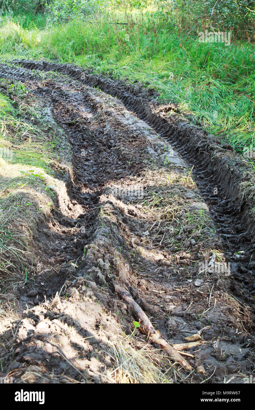 Impassable forest road of mud and clay, offroad Stock Photo - Alamy