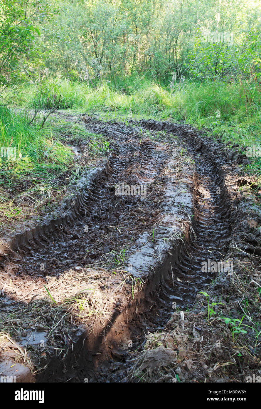 Impassable forest road of mud and clay, offroad Stock Photo - Alamy