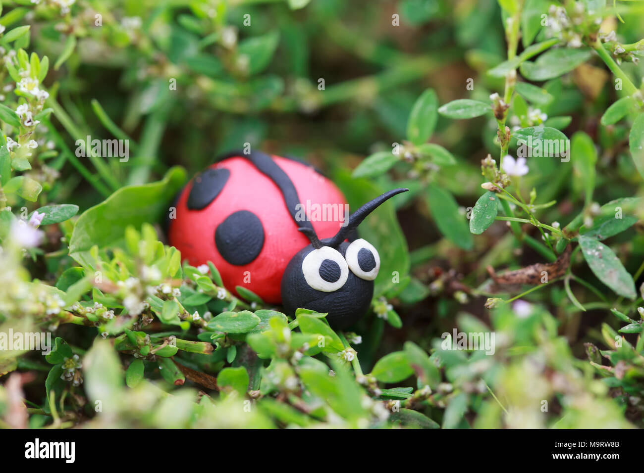 Plasticine world - little homemade red ladybug sitting in the green ...