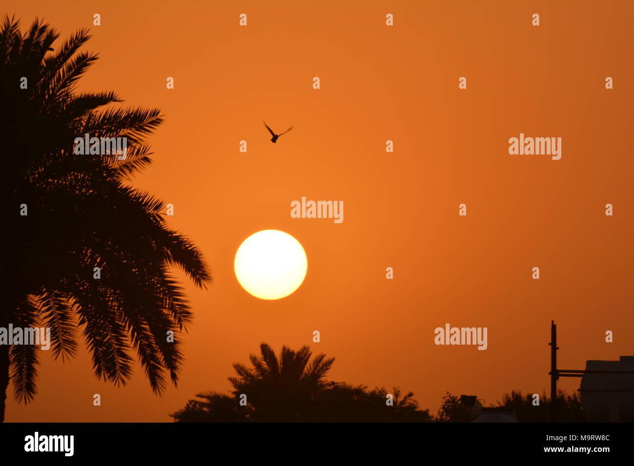 beautiful sunrise in Riyadh city - Saudi Arabia Stock Photo - Alamy