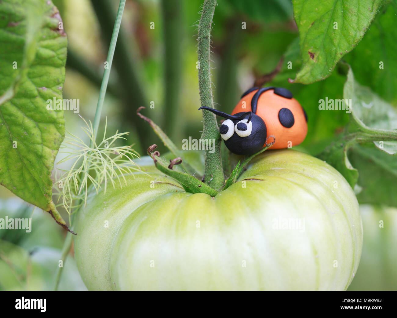 Plasticine world - little homemade orange ladybug sitting on a green ...