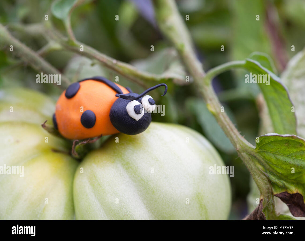 Cartoon green tomato hi-res stock photography and images - Alamy