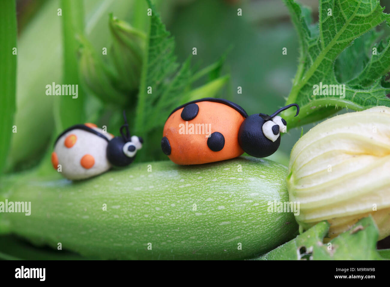 Plasticine world - little homemade white and orange ladybugs sitting on ...