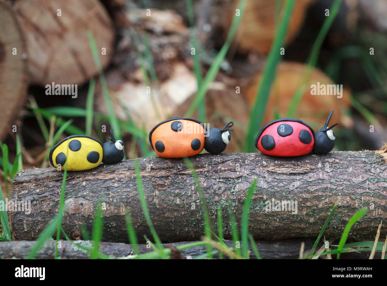 Plasticine world - three little homemade colorful ladybirds crawling on ...