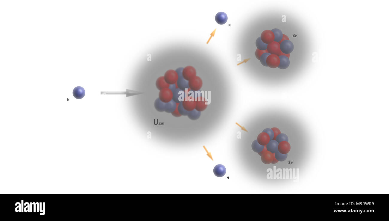 uranium nuclear fission - elementary particles physics theory Stock ...