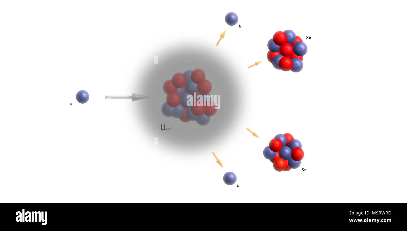 uranium nuclear fission - elementary particles physics theory Stock ...