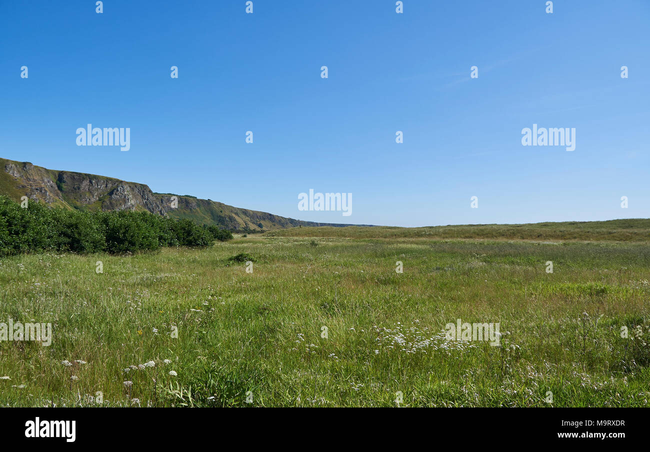 The Area between the Cliffs and the the Sea at St Cyrus National Nature ...
