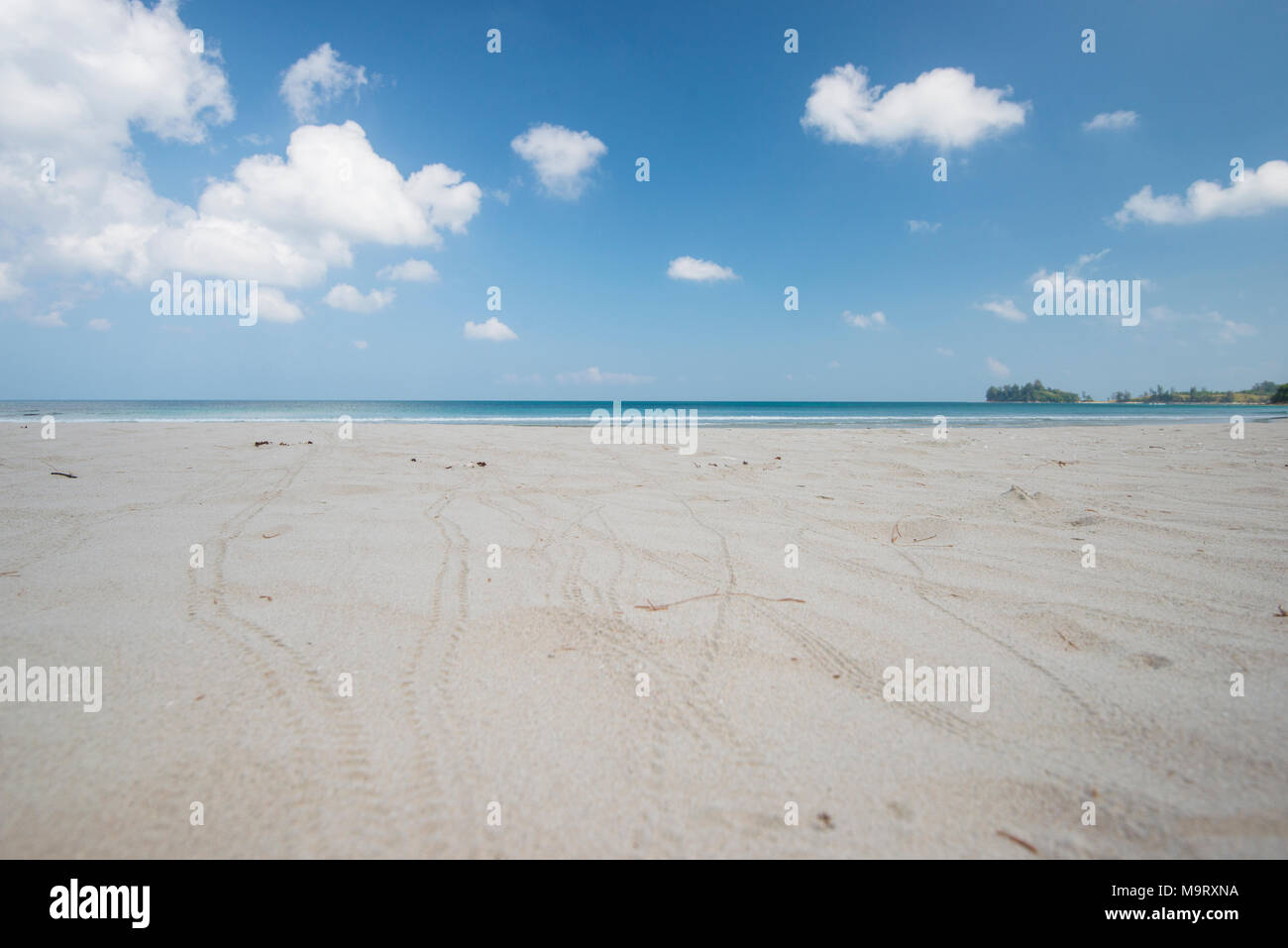 Sea turtle tracks in sand hi-res stock photography and images - Alamy