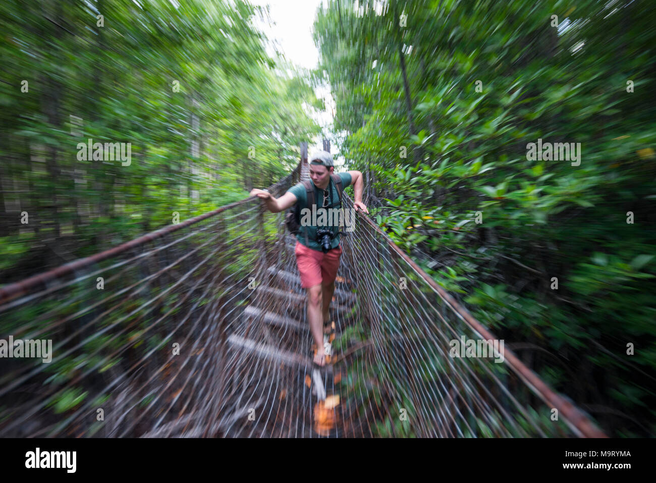 A man climbing along a suspension bridge, Kudat, Sabah, Malaysia ...