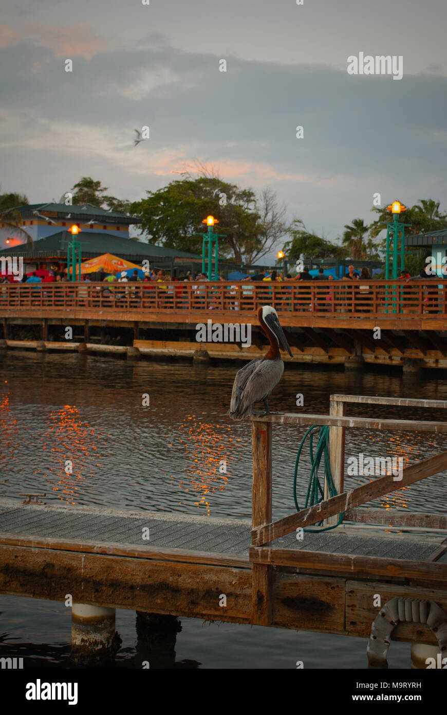 Puerto rico ponce people hi-res stock photography and images - Alamy