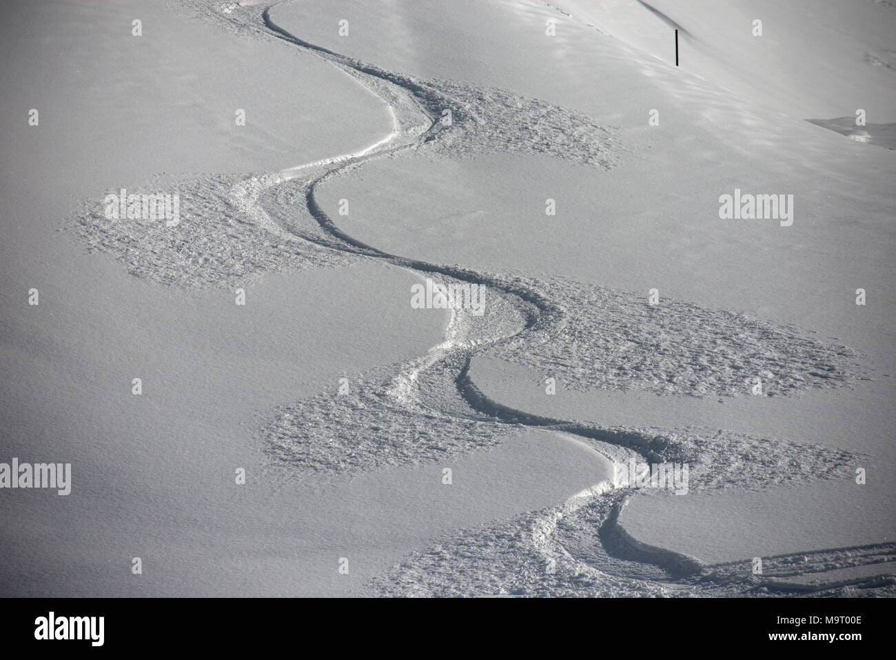 Val Thorens, France - Freshly carved tracks in deep powder Stock Photo ...