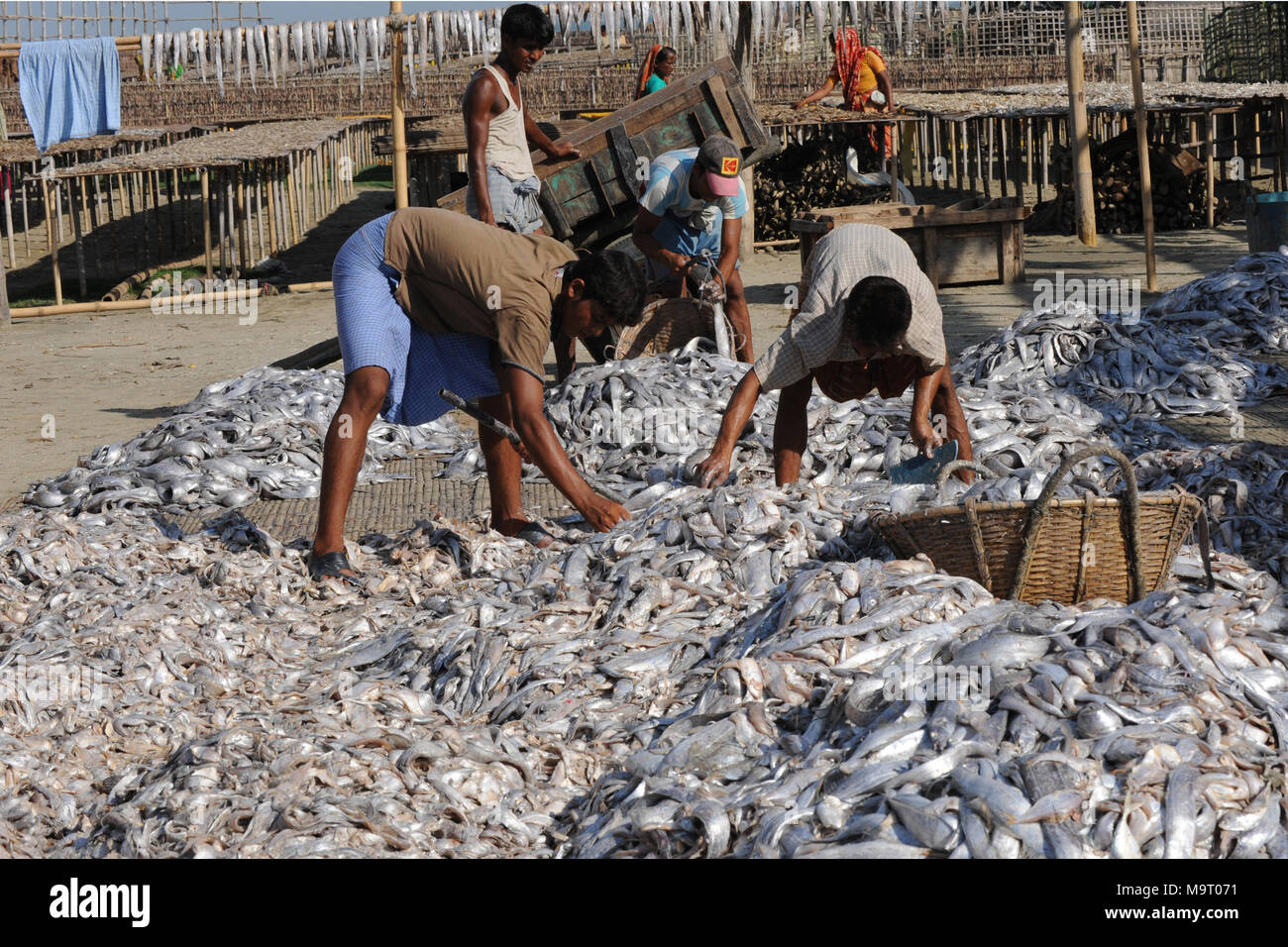 Push processing hi-res stock photography and images - Alamy